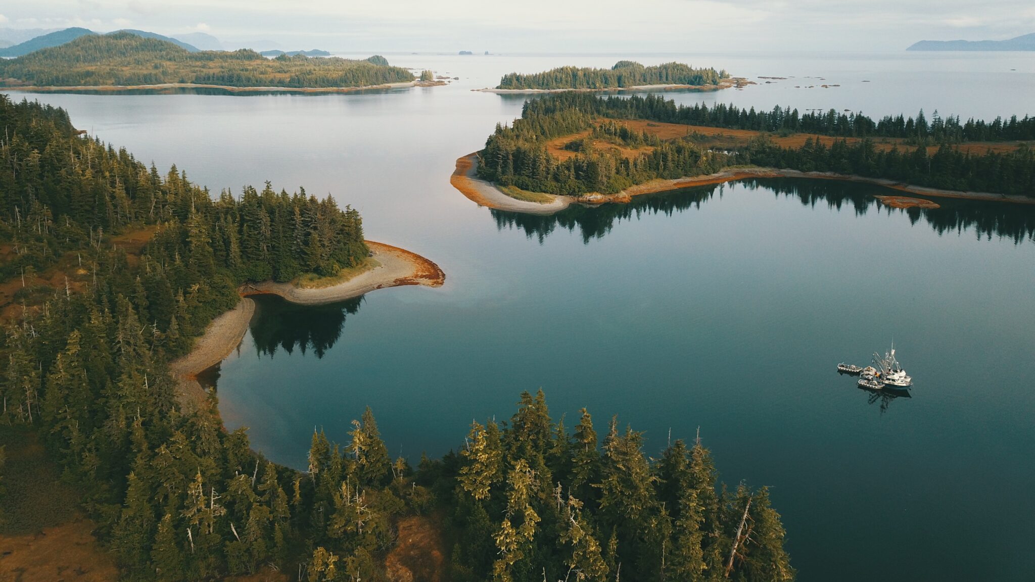 Csi Certified Csi Certified